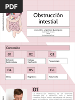 Obstrucción Intestinal Por Adherencias y Bridas | PDF | Especialidades ...