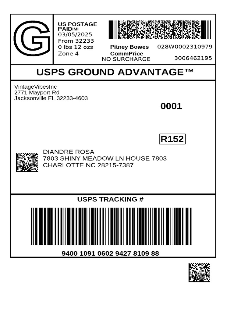 03-05_09-31-35_Shipping label | PDF