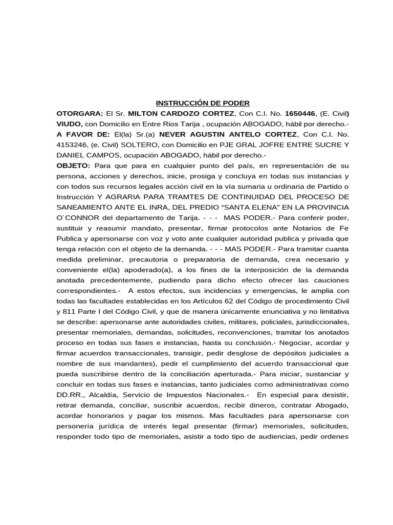 Instructivo Poder | PDF | Ley politica | Ley Pública