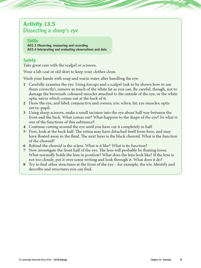 Activity - 13.5 - Dissecting A Sheep's Eye | PDF