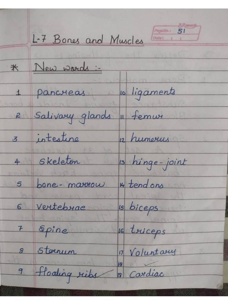 L - 7 Bones and Muscles | PDF