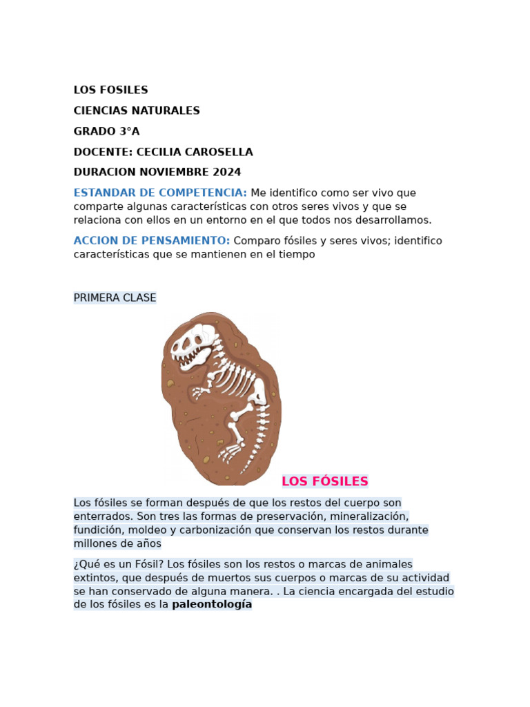 Fosiles | PDF | Fósil