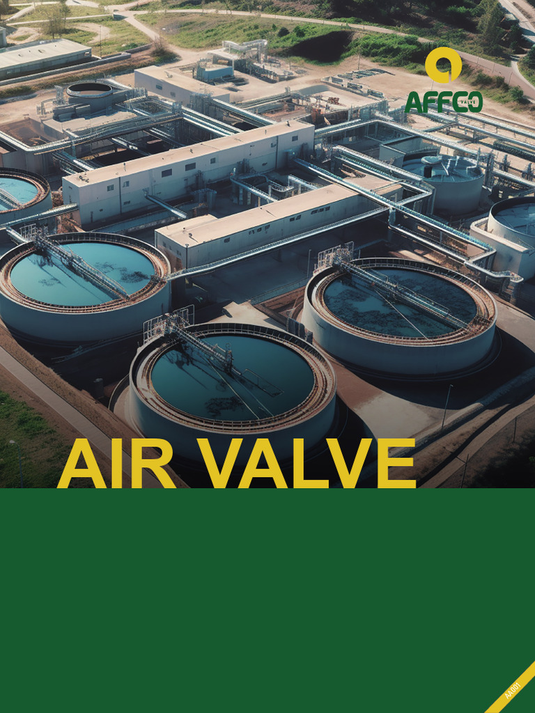 Air-Valve-空气阀-300 AA001 1 12 2024 | PDF | Valve | Steel