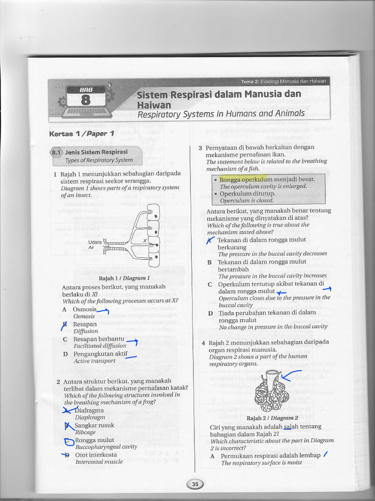 Bio f4 Bab 8 Sistem Respirasi | PDF