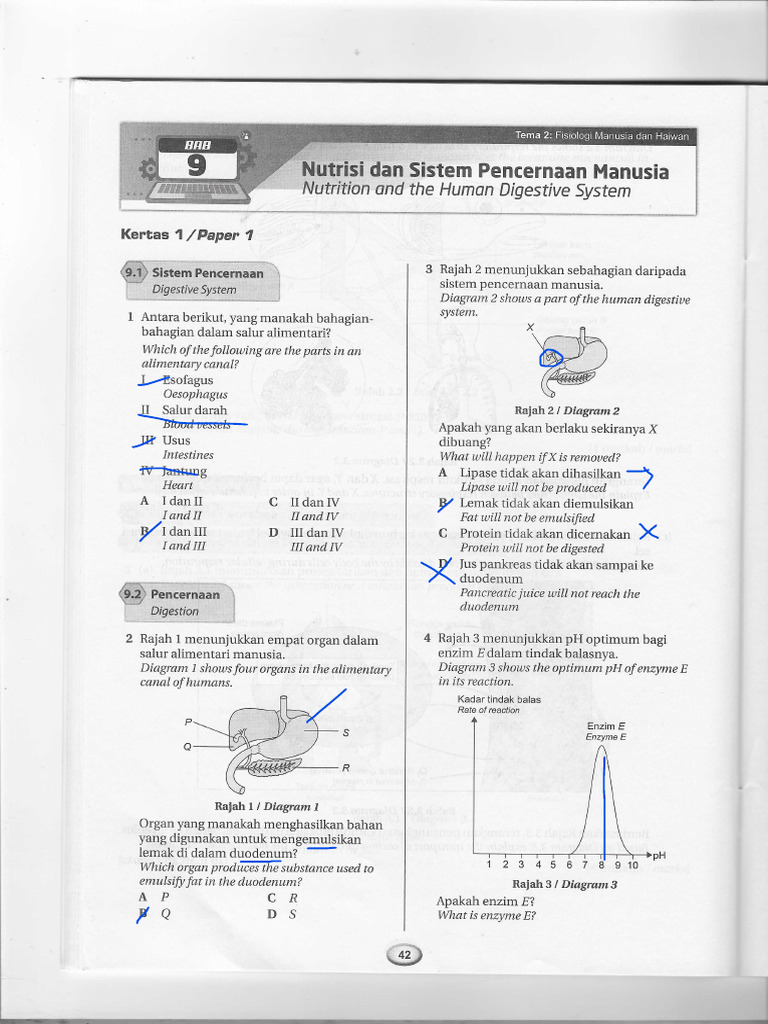 Bio f4 Bab 9 Nutrisi Dan Pencernaan - Latihan | PDF