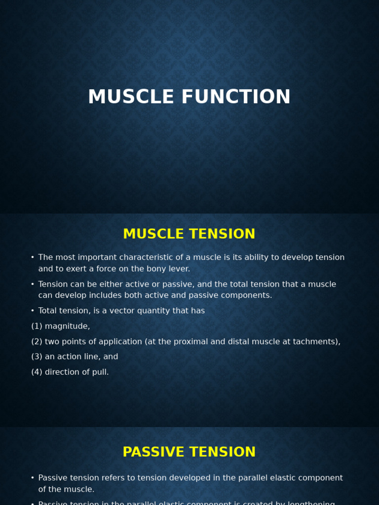 Muscle Structure and Function-2 | PDF | Muscle Contraction | Skeletal ...