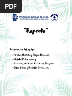 Partes y Estructura de un Reporte | PDF | Ciencia cognitiva