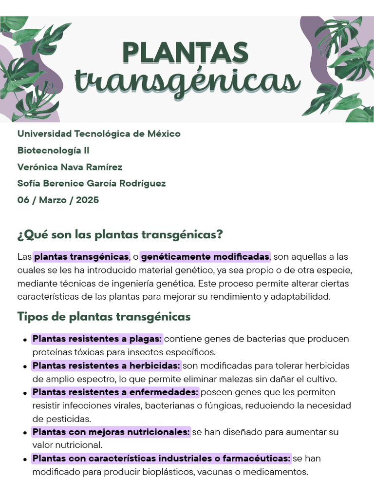 Plantas Transgénicas: Tipos y Usos | PDF
