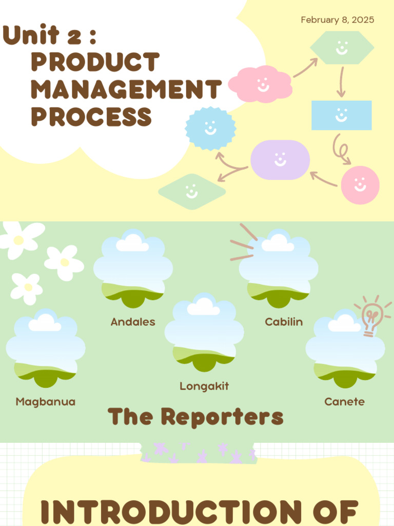 Product Management Process | PDF | New Product Development | Marketing