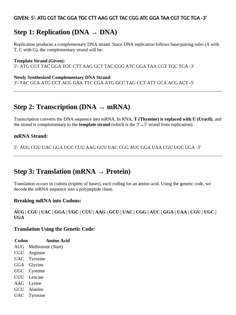Protein Synthesis Problem | PDF