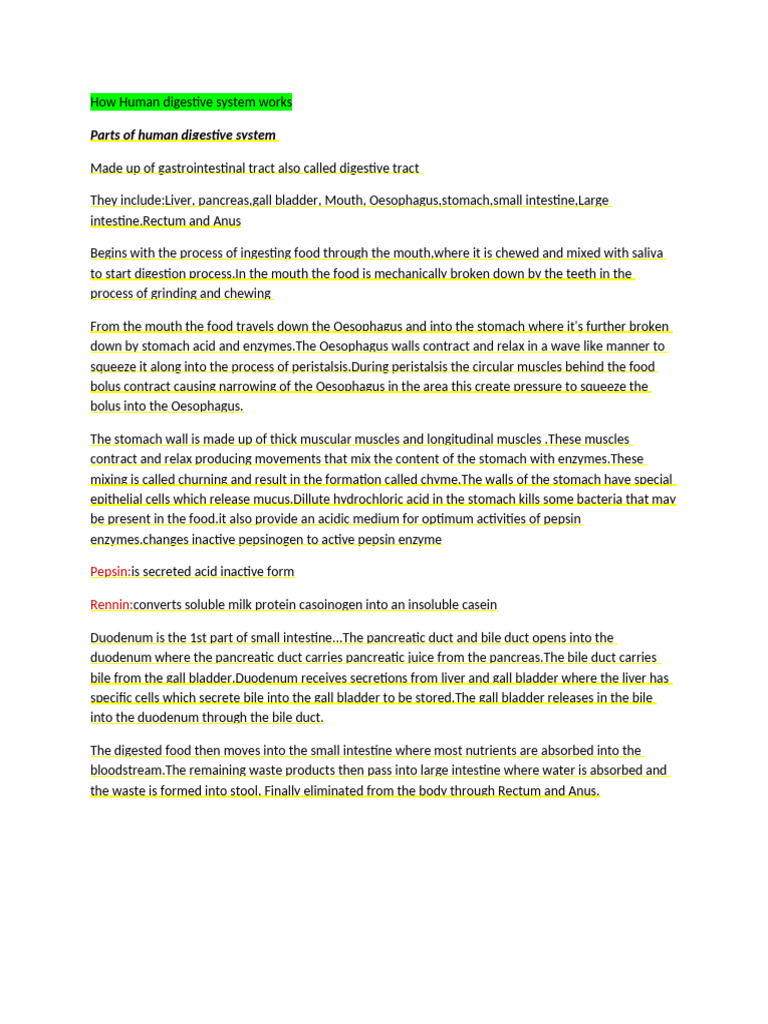 How Human Diges-WPS Office | PDF