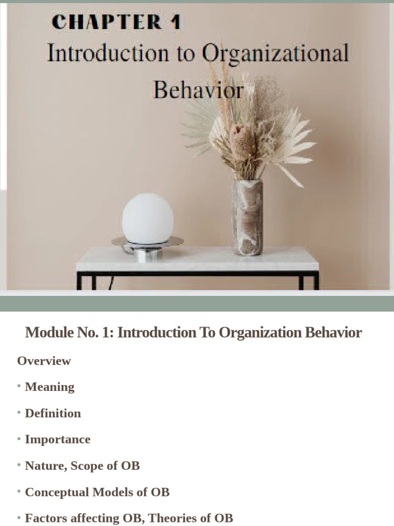 Chapter 1 Introduction to OB for Students | PDF | Organizational Behavior | Psychology