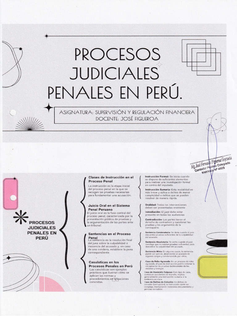 Procesos Judiciales Penales en Perú | PDF