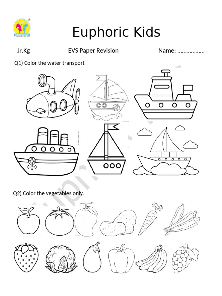EVS Sample Paper 2 | PDF