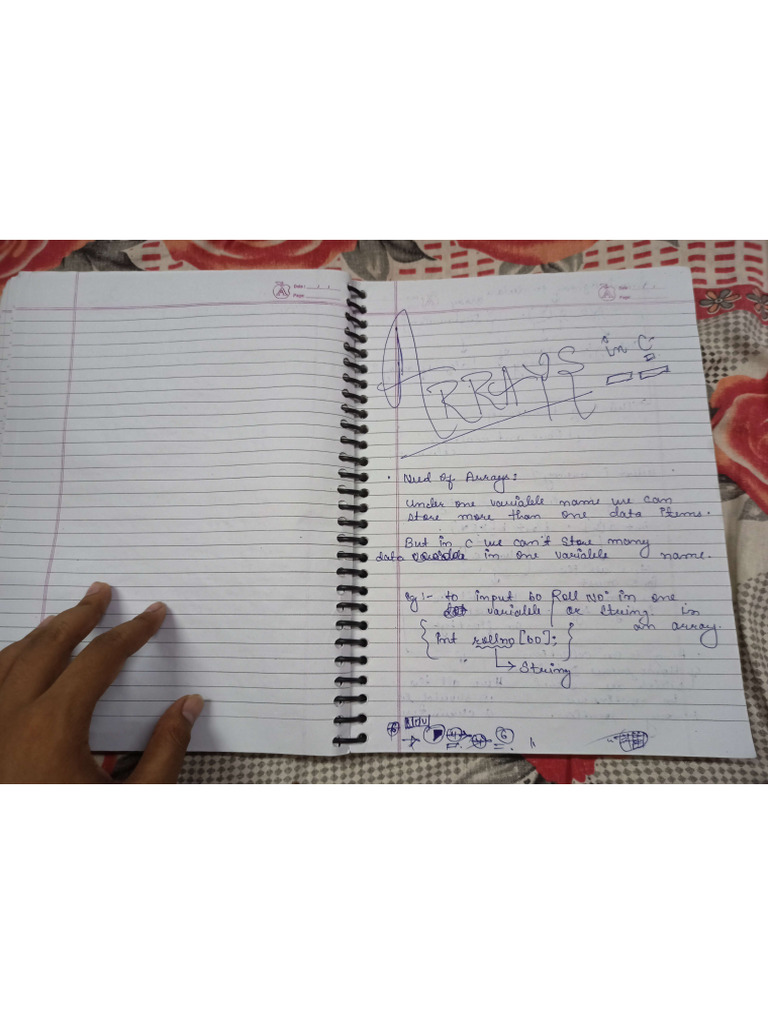 C2 Programming | PDF