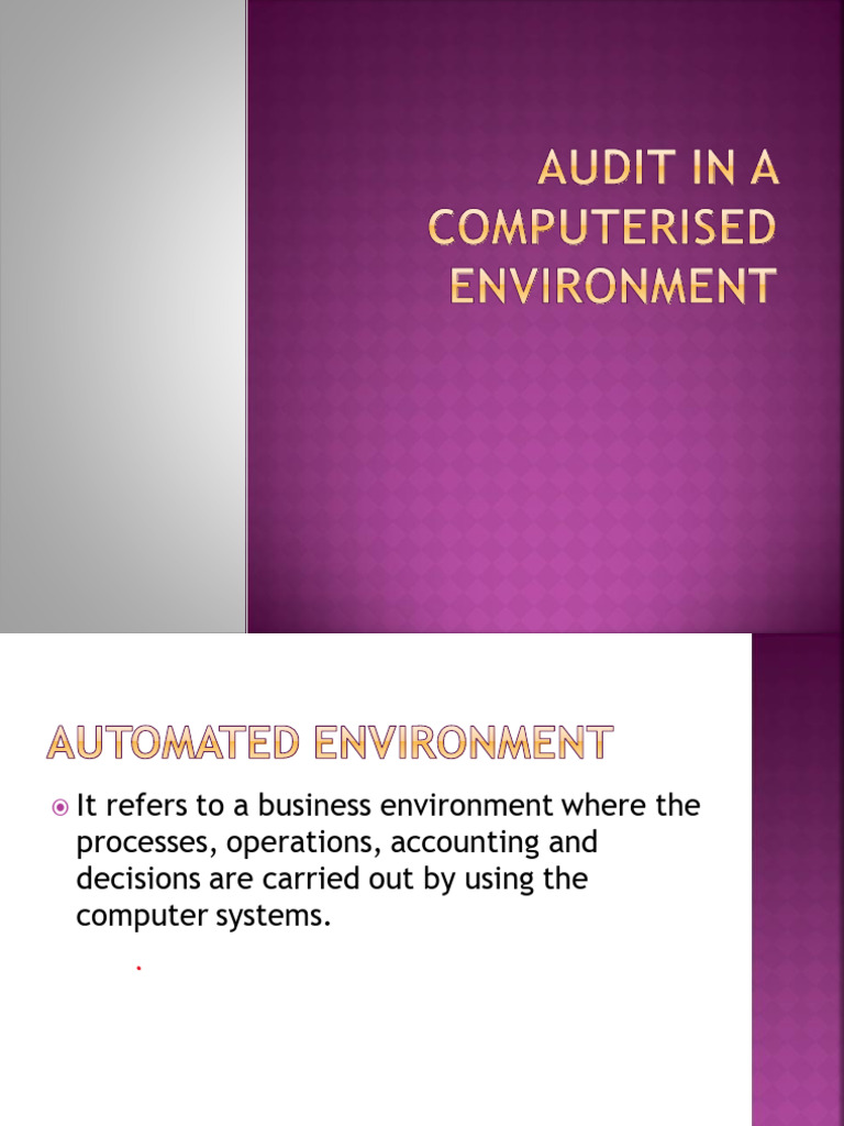 Audit in A Computerized Environment | PDF | Audit | Computing