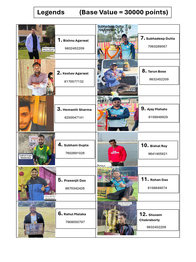 MPL Auction draft 1 | PDF