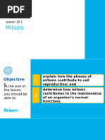 Amoeba Sisters Cell Cycle-1 | PDF | Mitosis | Chromosome
