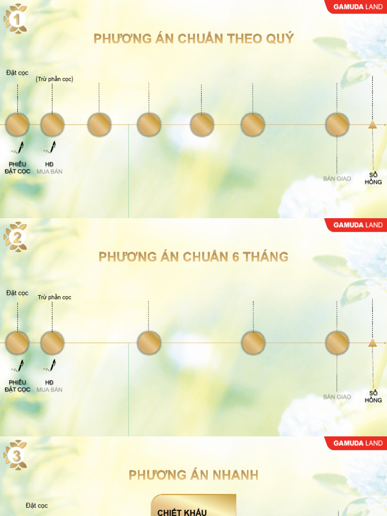 2024.06_The Meadow_PTTT_Phase 1 | PDF