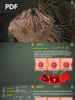 Structure and Function of The Gas Exchange System - Respiration and Gas ...