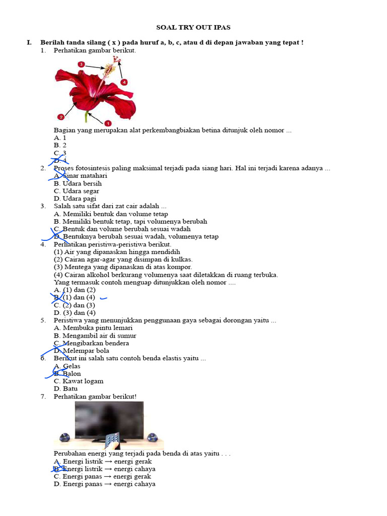 Soal Try Out Ipas 1-1-7 | PDF