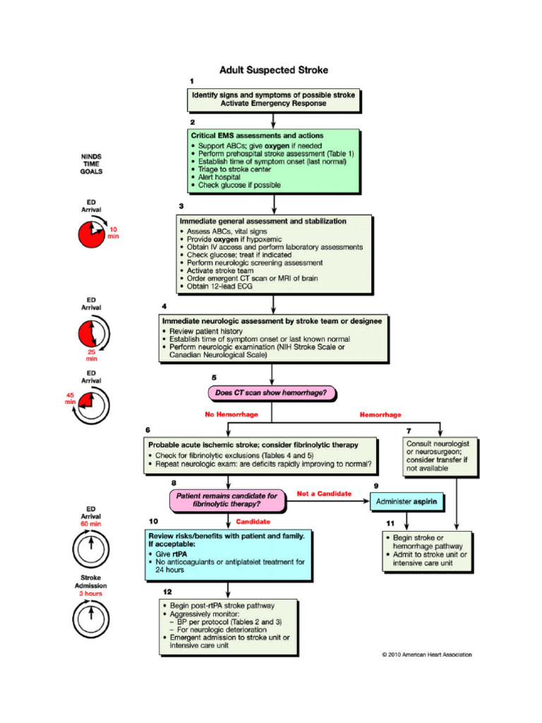 Aha Stroke | PDF