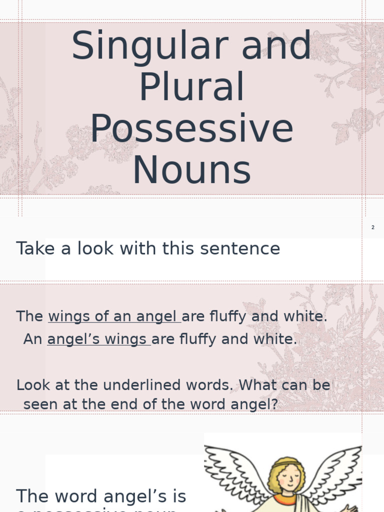 Possessive Nouns: Singular & Plural Worksheets | PDF