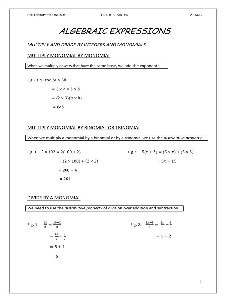 Gr8-Maths-21-Aug | PDF | Multiplication | Square Root