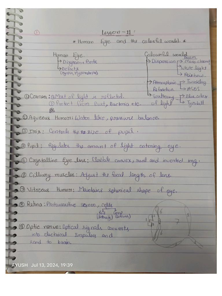 Class 10th Bio Human eye and colour World | PDF