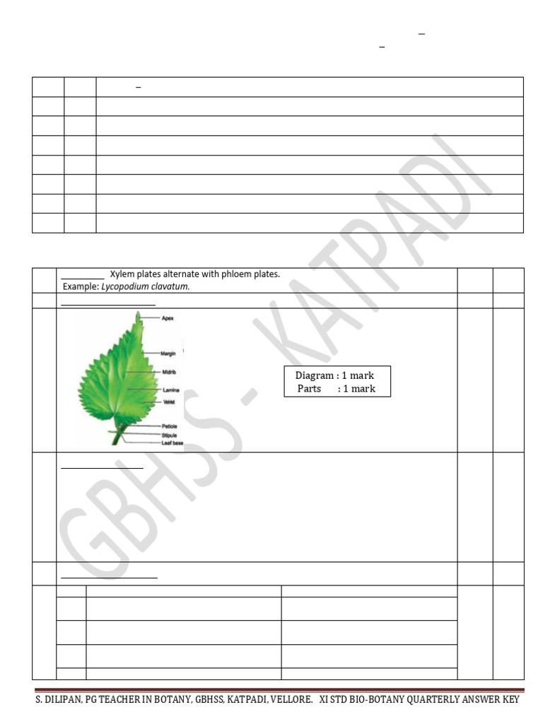 Xi Bio em Quarterly Answer Key - Vellore | PDF | Dna | Eukaryotes
