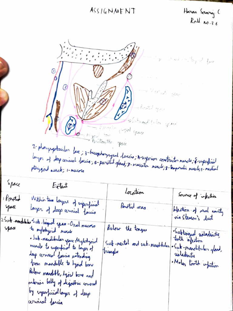 Adobe Scan 28 Oct 2024 (1) | PDF