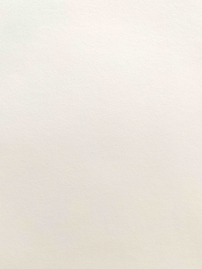 BLANK paper | PDF