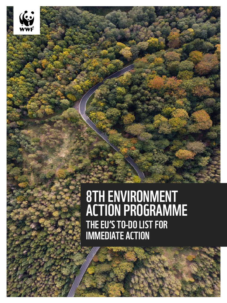 8th_eap___the_eu_s_to_do_list_for_immediate_action | PDF ...