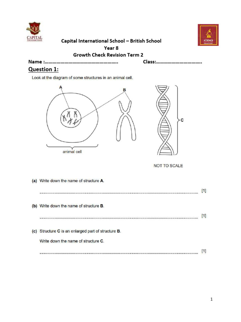 Term 2 Mock 1 Self Study Questions | PDF