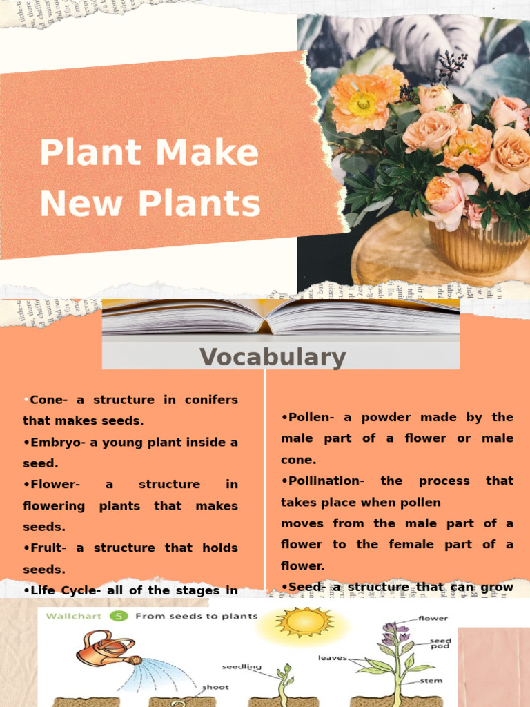Plants Make New Plants | PDF