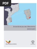 Estatísticas do Distrito da Matola | PDF | Ensino médio