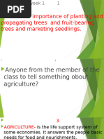 EPP 6 Q2 Week 2 | PDF | Soil | Fertilizer