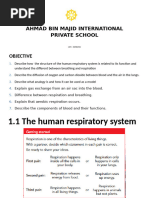 Structure and Function of The Gas Exchange System - Respiration and Gas ...