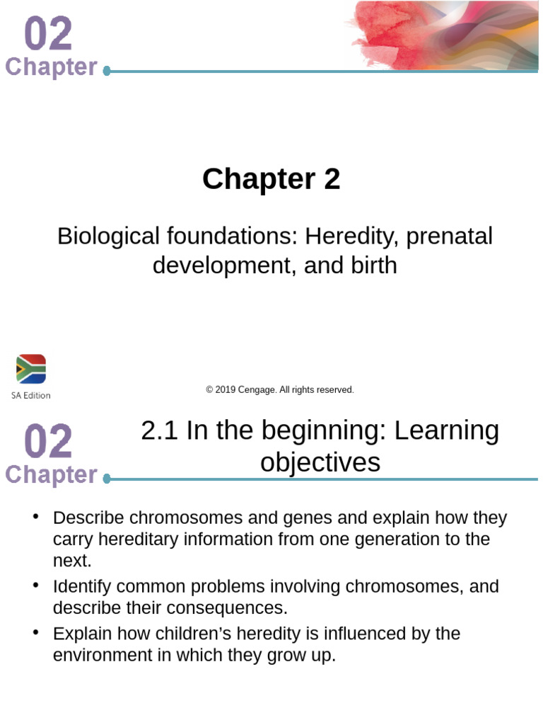 Chapter 2 - PPT Slides-2024 | PDF | Allele | Dominance (Genetics)