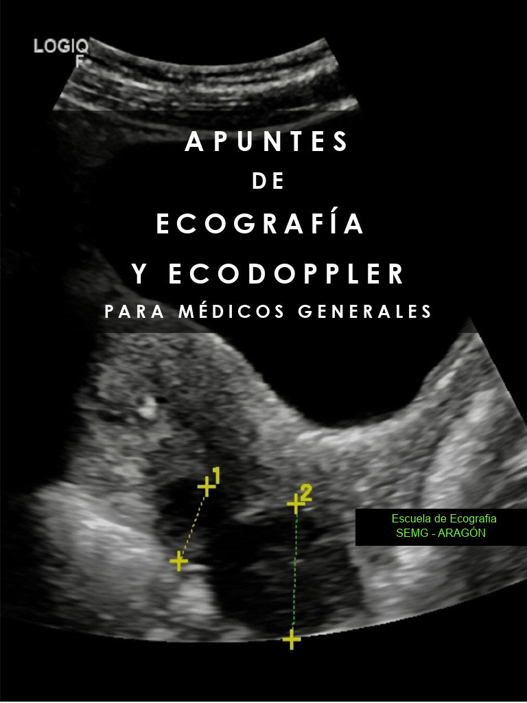 Libro Eco Mio | PDF | Hígado | Sonido