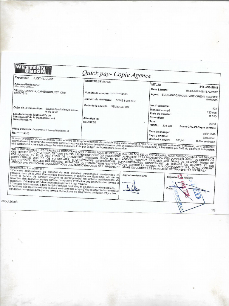 Facture Western Union | PDF