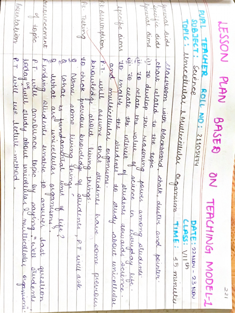 Sci (Model Based Lesson) Sample | PDF