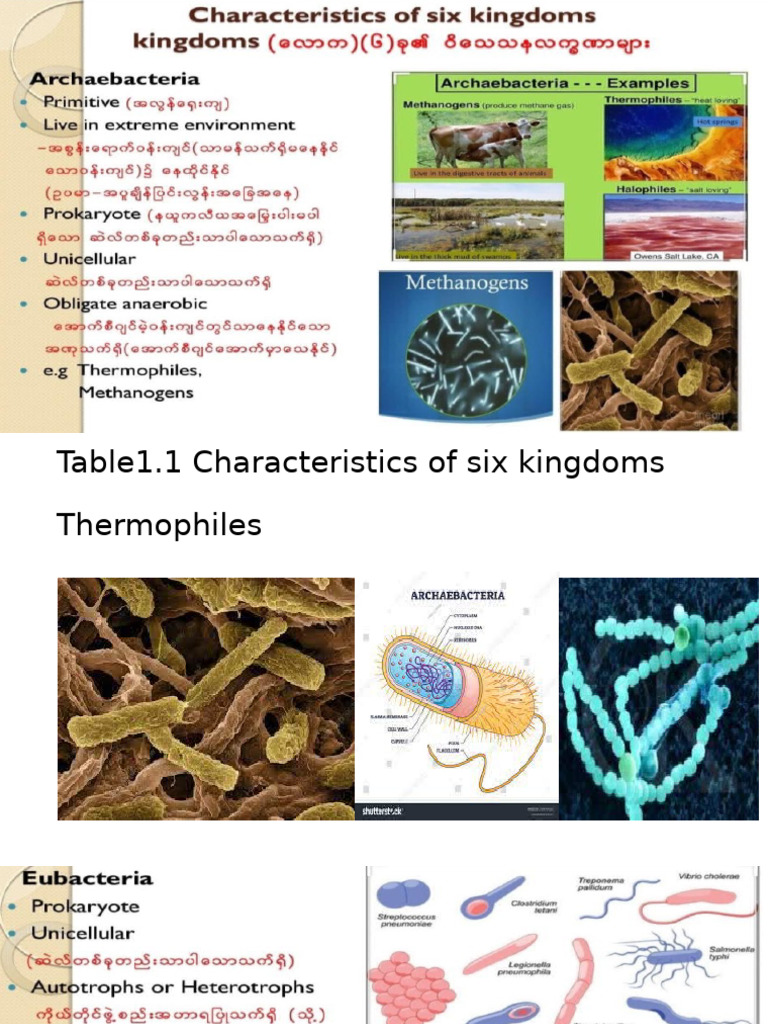 Characteristics of Six Kingdoms G10 | PDF