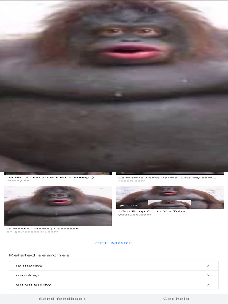 Lee Monkey Meme - Google Search | PDF