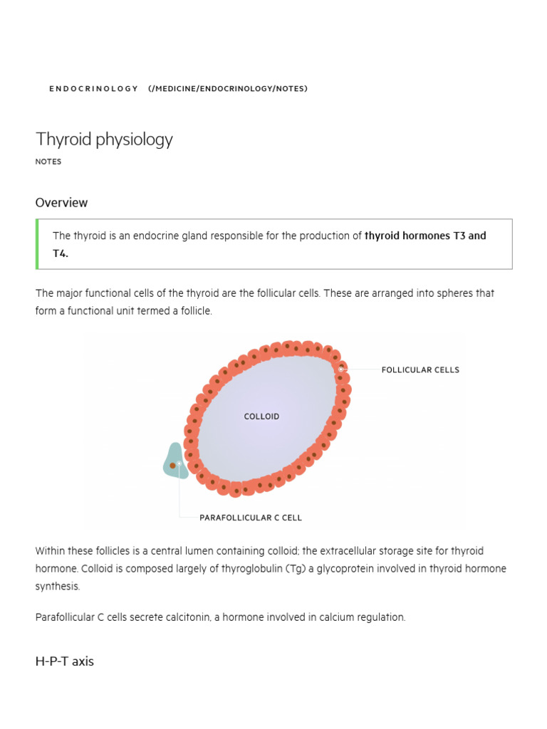 Pulsenotes - Thyroid Physiology Notes | PDF | Thyroid | Thyroid ...