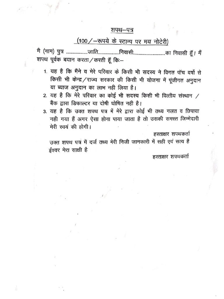 03 Subsidy Format | PDF