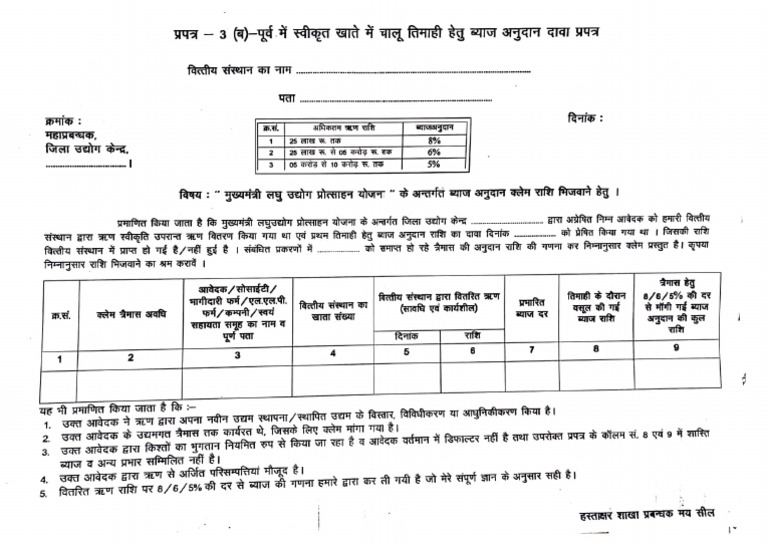 02 Subsidy Format | PDF