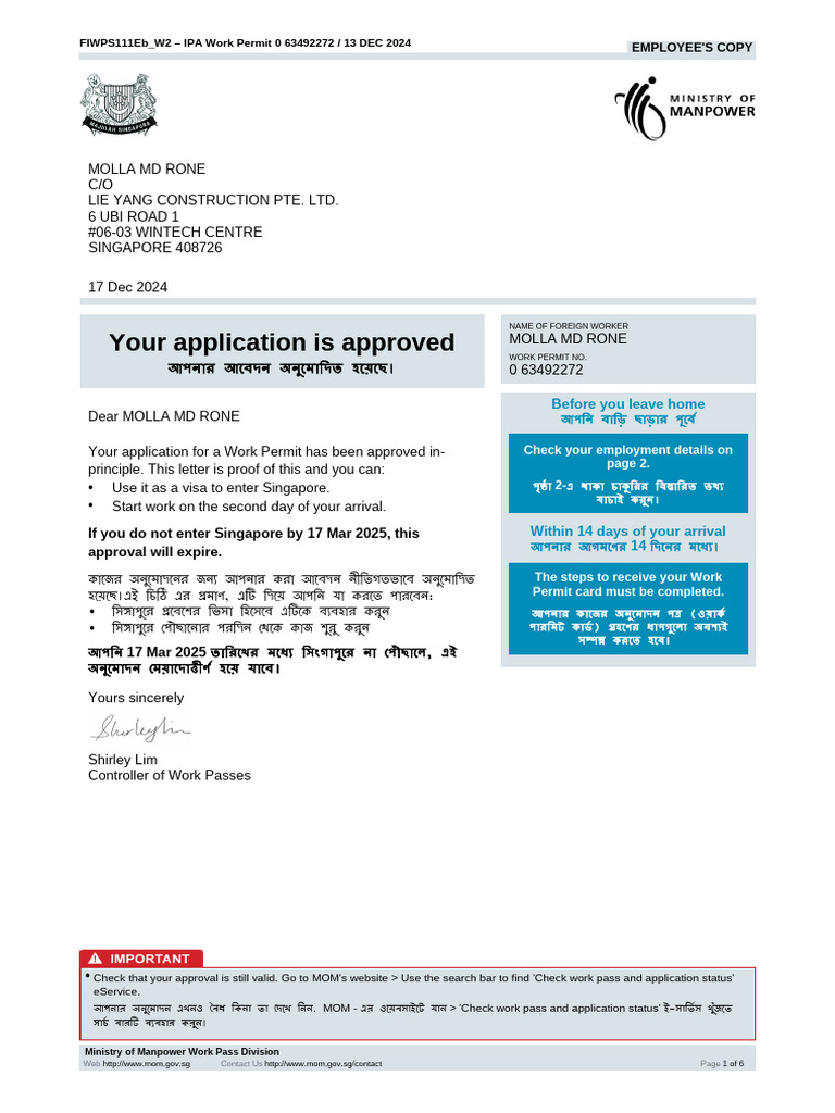 Singapore Work Permit | PDF