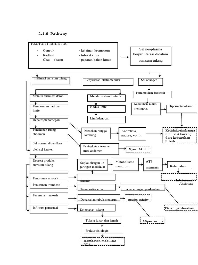 PDF Pathway Leukemia | PDF
