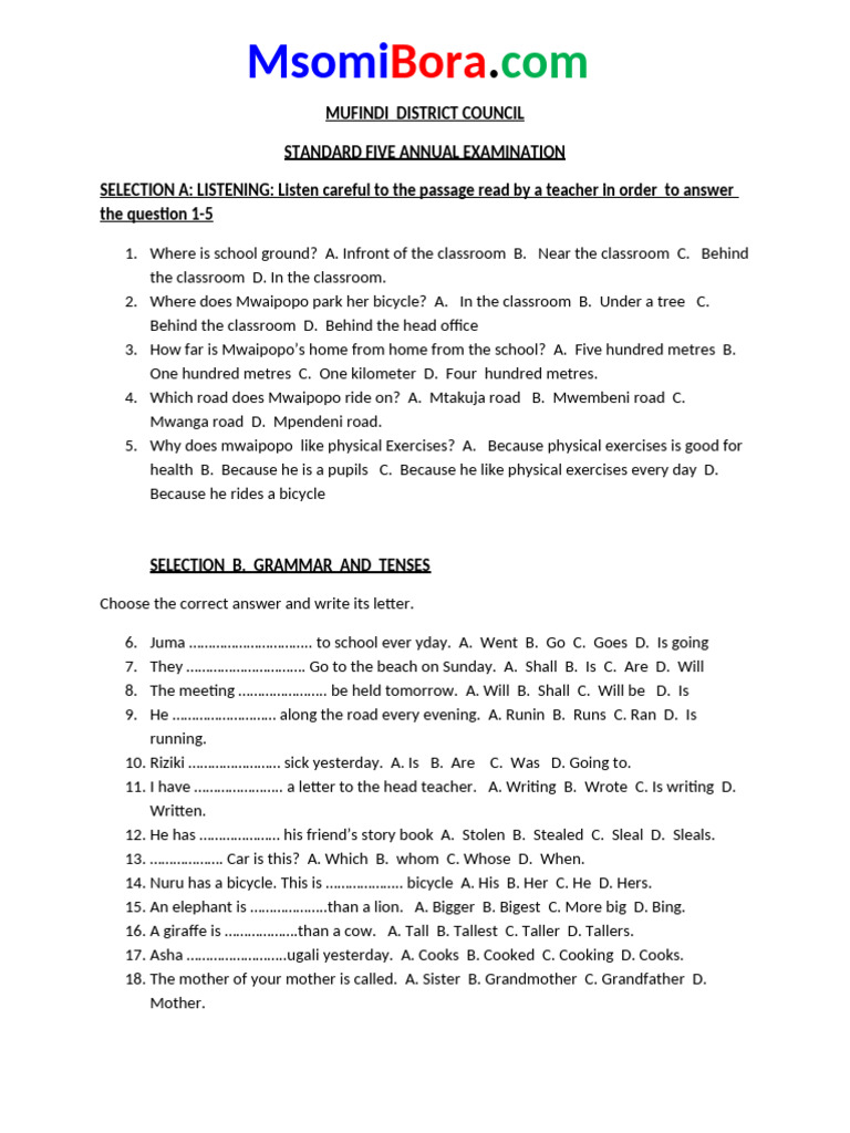Standard Five English Exam Paper 2022 | PDF